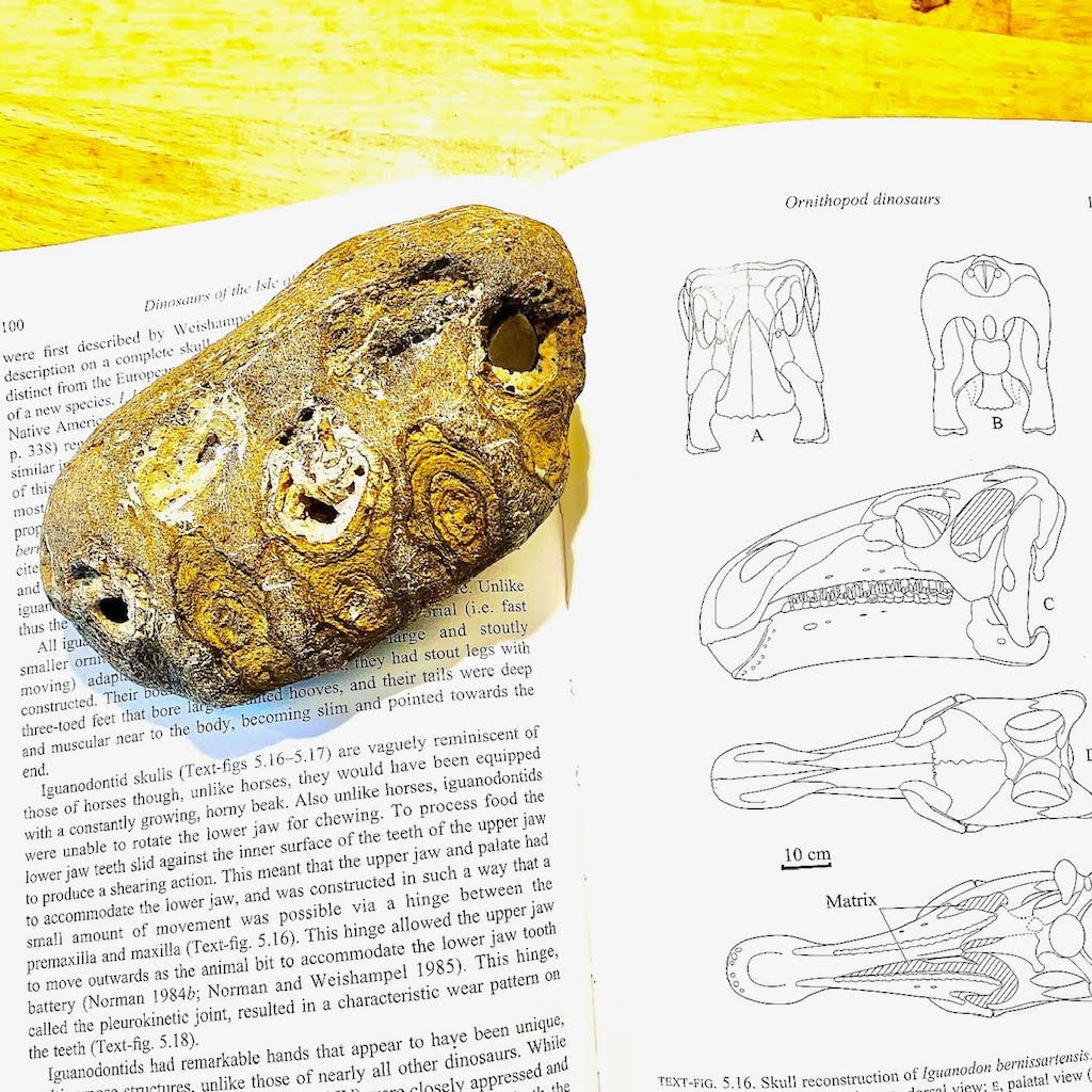 Finding Dinosaurs: HUNTING THE HELL HERON · Slowist